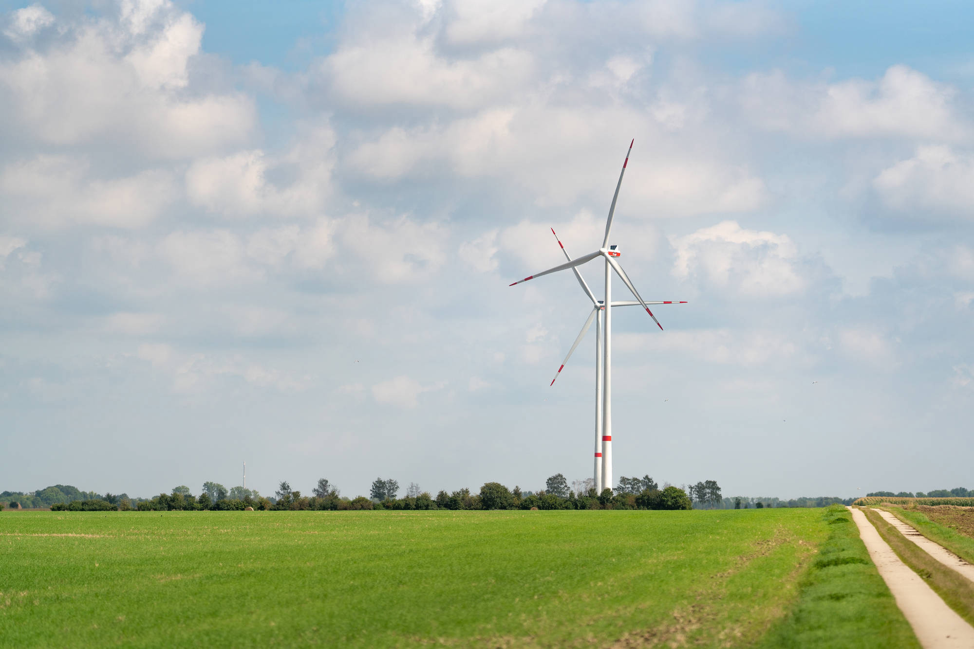 envia THERM - Partner für nachhaltige Energie - envia Corporate Blog